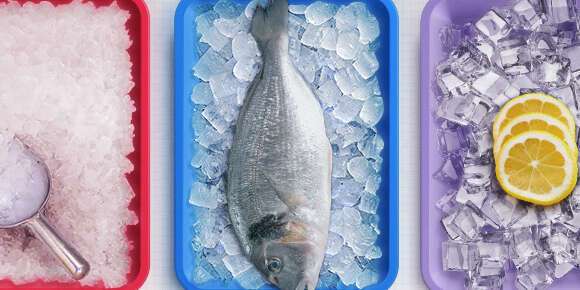 Types of ice and their sizes | Blog | Chef Buyer